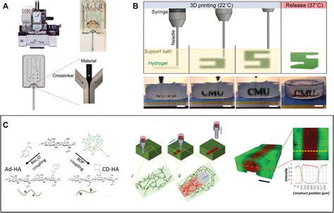Examples Of Emerging 3d Printing Approaches A 3d Bioprinting System Download Scientific