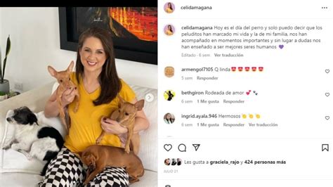 Video Muere Perrito Abandonado Que Célida Magaña Adoptó Noticias De