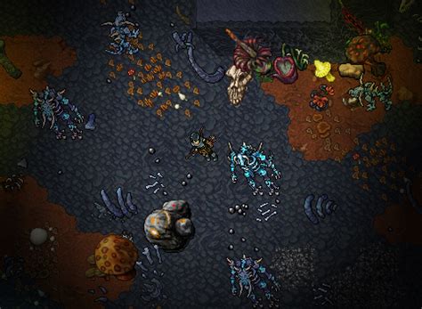 Le Mmorpg Classique Tibia Ajoute De La Variété à La Chasse Aux Monstres