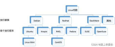 Linux 发行版本 阿里云开发者社区