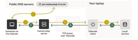 基于tailscale Funnel和jellyfin实现免费公网访问的流媒体服务器 哔哩哔哩