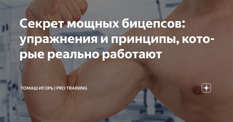 Секрет мощных бицепсов упражнения и принципы которые реально работают