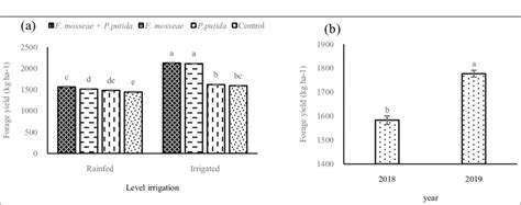 The Interaction Of Irrigation Condition And Bio Fertilization A And