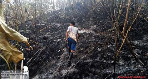 Incendios Forestales Y Cambio Climático Pone En Riesgo A Comunidades