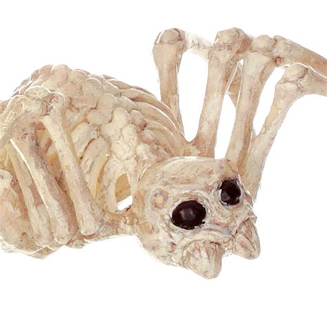 Halloween Mini Spider Skeleton At Home