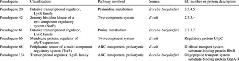 Pseudogenes With Predicted Regulatory Functions And Pathways Involved