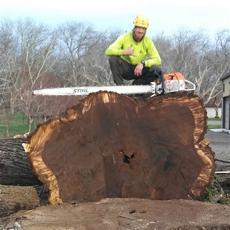 John Steadman Youtube