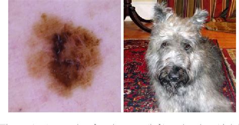 Figure 1 From On Out Of Distribution Detection Algorithms With Deep