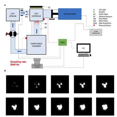 Figure E Schematic Depiction Of The K Fold Cross Validation Algorithm