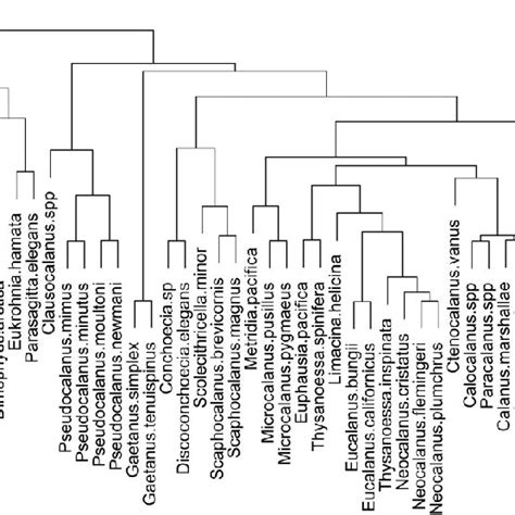 Cluster Dendrogram Based On Functional Traits Using Average Linkage