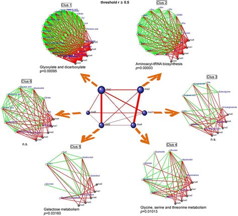 Graph Clustering Of Correlated Metabolomic Modules In Tomato Seeds