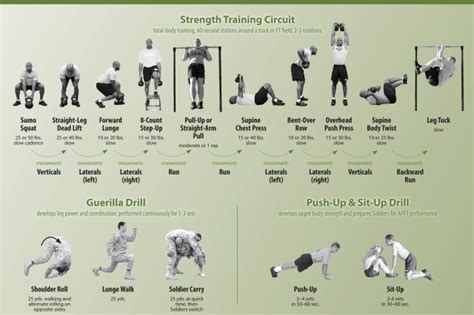 PRT The Army S New Road Map For Physical Readiness Article The United States Army