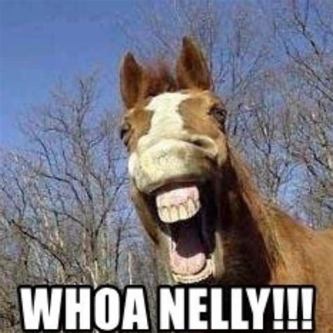 Woah Nelly Meme Captions Cute Viral