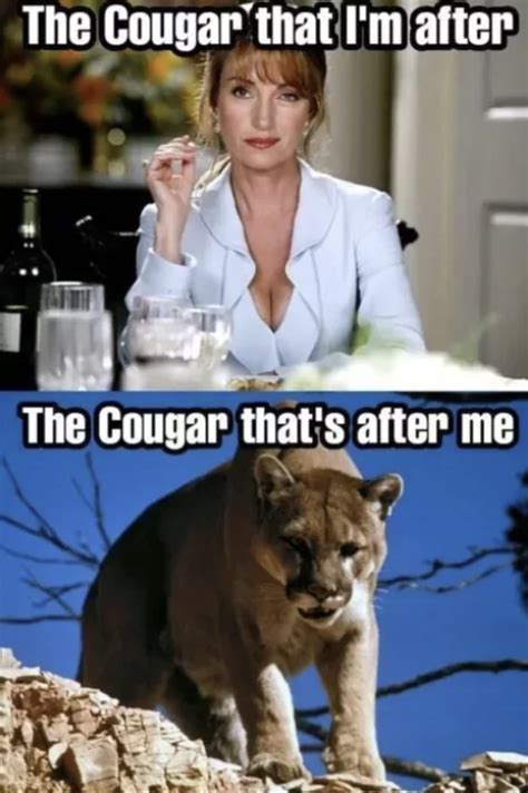 22 Cougar Memes We Arent Strong Enough To Resist Ebaums World