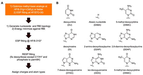 Self Consistent Parameterization Of Dna Residues For The Non Polarizable Amber Force Fields