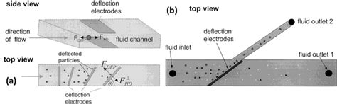 Top Bottom Patterned Microelectrode Array 67 A Schematic Showing Of