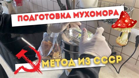 Раньше покупал мухомор в капсулах, пока не узнал об этом дедовском ...