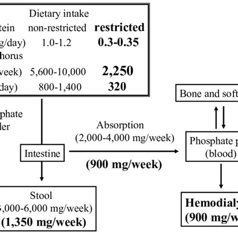 Pdf Complications And Managements Of Hyperphosphatemia In Dialysis