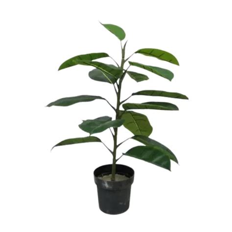Lule Artificialeschefflera40x60cm