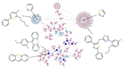 Network Representation Of The Set Of The Adjudicated Scaffolds Large