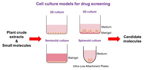 Tumor Microenvironment Chulabhorn Research Institute