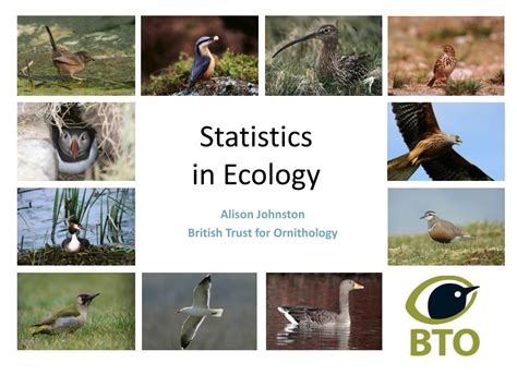 PPT Statistics In Ecology PowerPoint Presentation Free Download ID