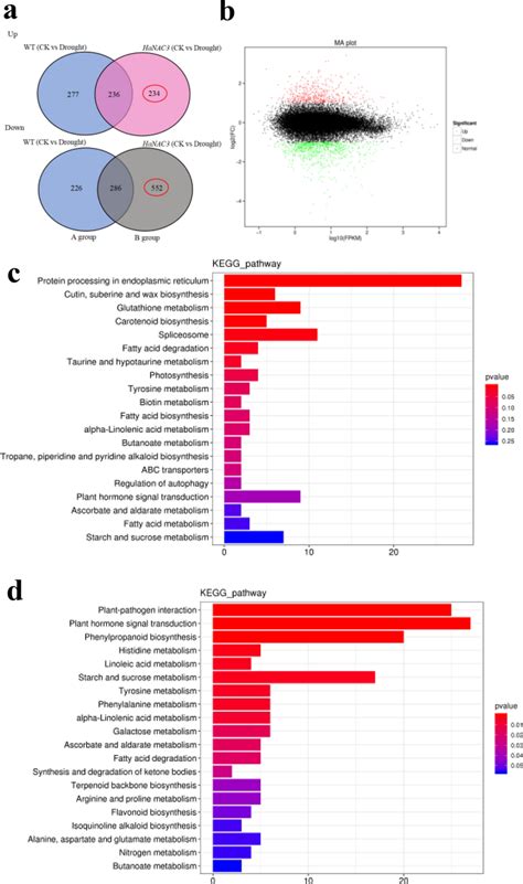 a venn diagram of the number of up regulated and down regulated genes