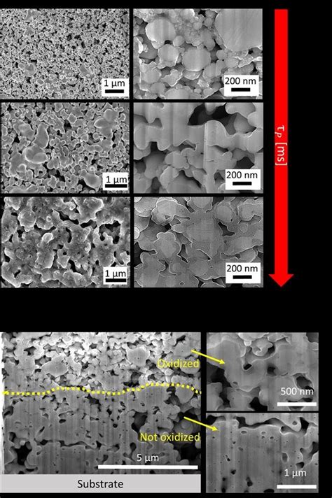 Top Top View Left Column And Cross Section Right Column Sem Images