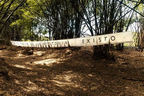 Aryam Rodríguez Somos La única Especie Con Consciencia De Nuestra