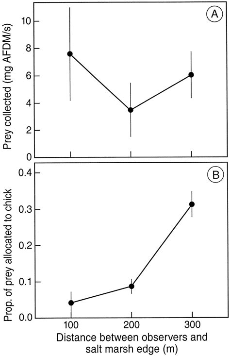 Effect Of Human Disturbance On Foraging Success And Prey Allocation In