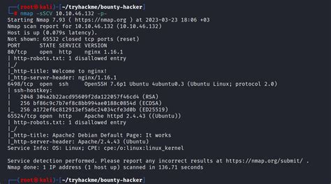 Tryhackme Easy Peasy Mr0widos Blog