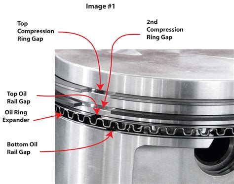 Piston Oil Rings