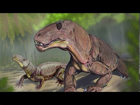 4 Terápsidos “reptiles Mamiferoides” Mas Impresionantes De La Prehistoria Reptile Keeper