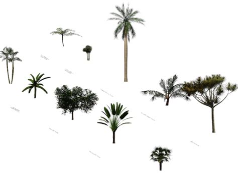 Download Trees Revit Families Bim Objects Bim Library