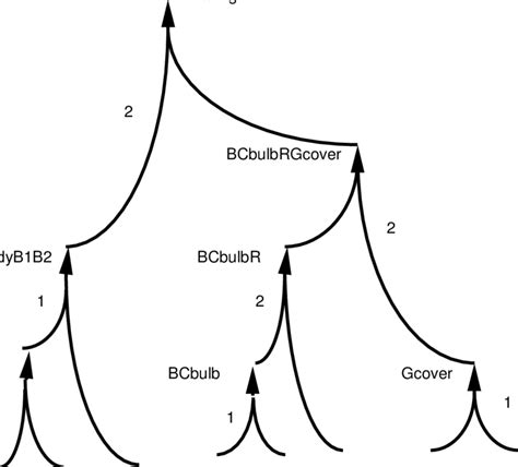A Portion Of The Ashlight Assembly Hypergraph The Operations With The