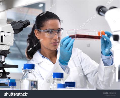 Biomedical Engineering Labs