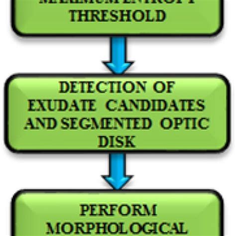 Flowchart Of Exudate Segmentation Download Scientific Diagram