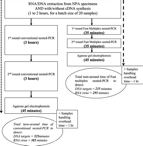 Nested Pcr Protocol