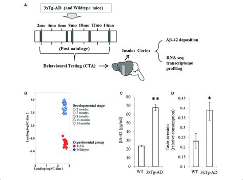 Experimental Groups And Expression Profile Clustering A Samples Download Scientific