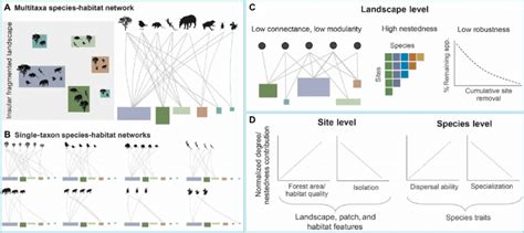 Conceptual Diagram Illustrating The Fragmented Landscape Co Occurring Download Scientific