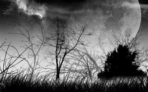 Twilight By Artmeetsapp On Deviantart