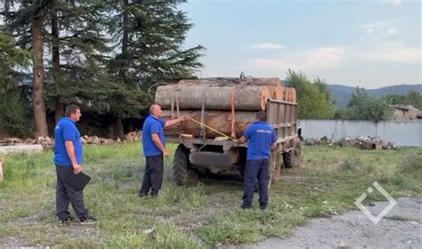ხე ტყის უკანონო მოპოვებისა და ტრანსპორტირების ფაქტები Adjara Tv
