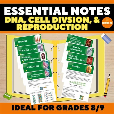 Dna Reproduction And Cell Division Essential Notes Bundle Science Bc