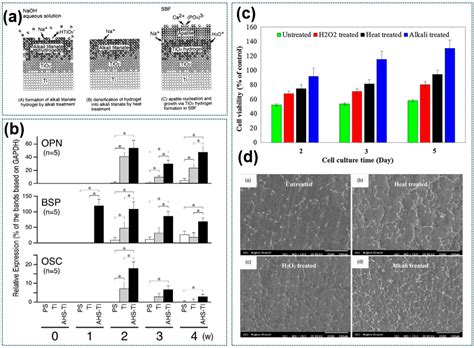 Research Progress On Surface Modification Of Titanium Implants