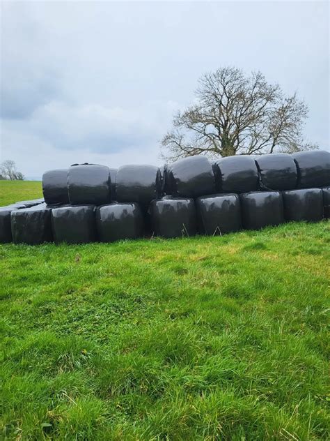 Silage Bales For Sale In Co Galway For €32 On Donedeal