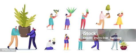 다양한 식물을 가진 사람들의 집합 화분에 담긴 꽃 원예 취미 나무 심기와 함께 하는 남성과 여성 캐릭터 원예에 대한 스톡 벡터 아트 및 기타 이미지 Istock