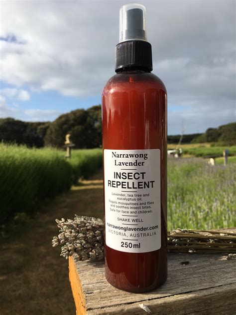 Shop — Narrawong Lavender