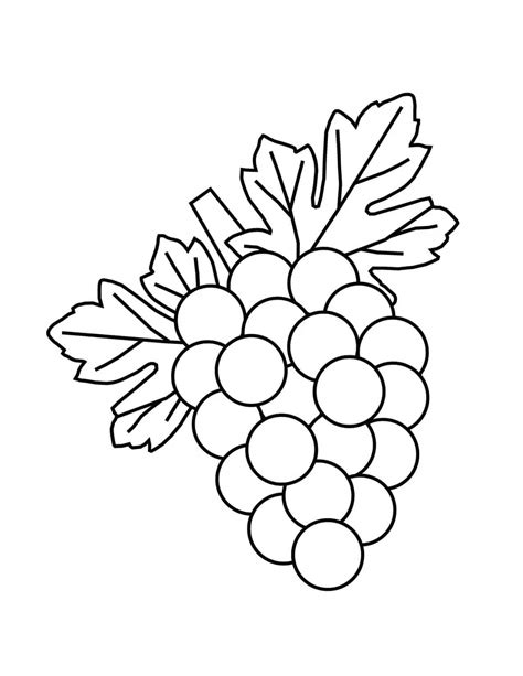 Dibujos De Uvas Para Colorear E Imprimir Coloringonlycom
