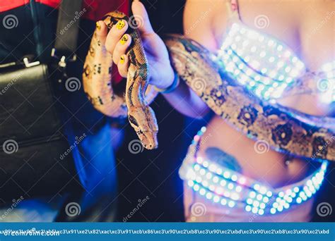 Belly Dancer Handling An Albino Burmese Python Snake Stock Image Image Of Fair Girl