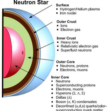 Schematic Structure Of A Neutron Star Figure Modified From Weber Et Download Scientific